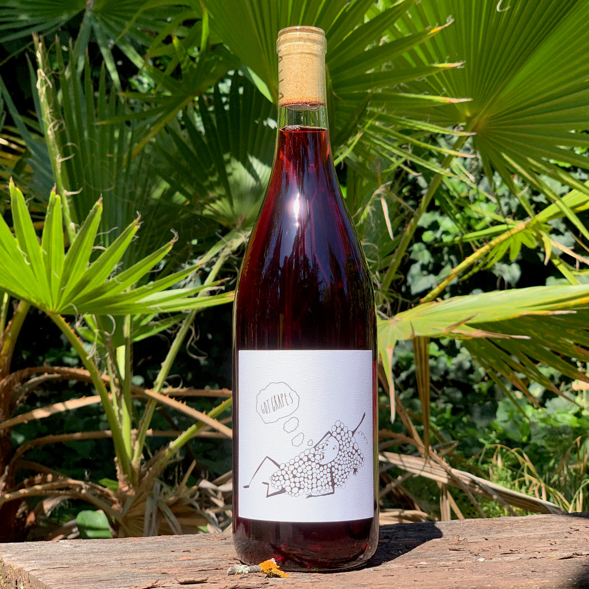 GOT GRAPES? California's Perfect Summer Red – Flatiron SF